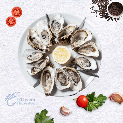 D'Oceanfisheries - Fresh Fish Suppliers Bahrain